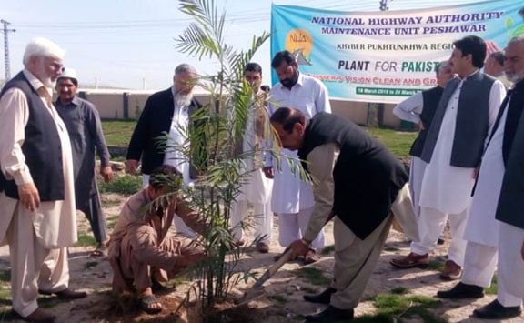 Clean & Green Pakistan Campaign: NHA Plants More Than 76,105 Plants ...
