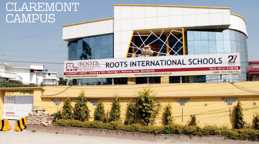 Roots Introduces Online Education System For Its Students - Daily ...