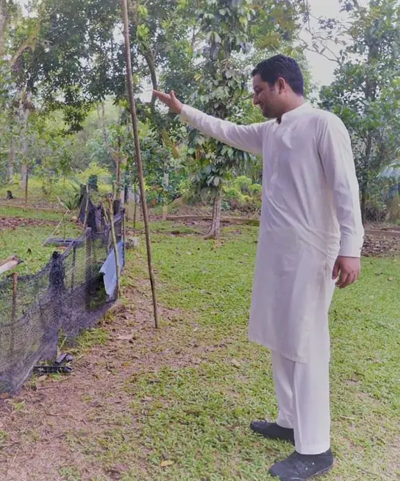 Unleashing The Potential Of Snail Farming In Pakistan - Daily ...