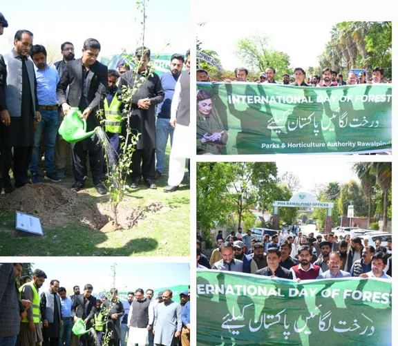 PHA Rawalpindi Launches A Tree Plantation Campaign On The Occasion Of ...